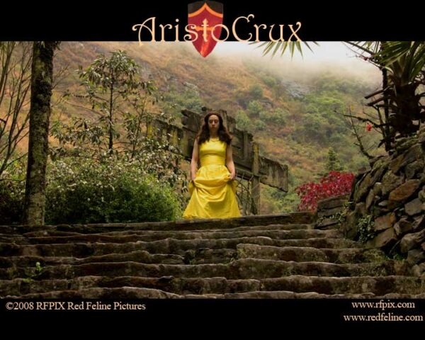 Red Feline Pictures – Daring Independent Cinema